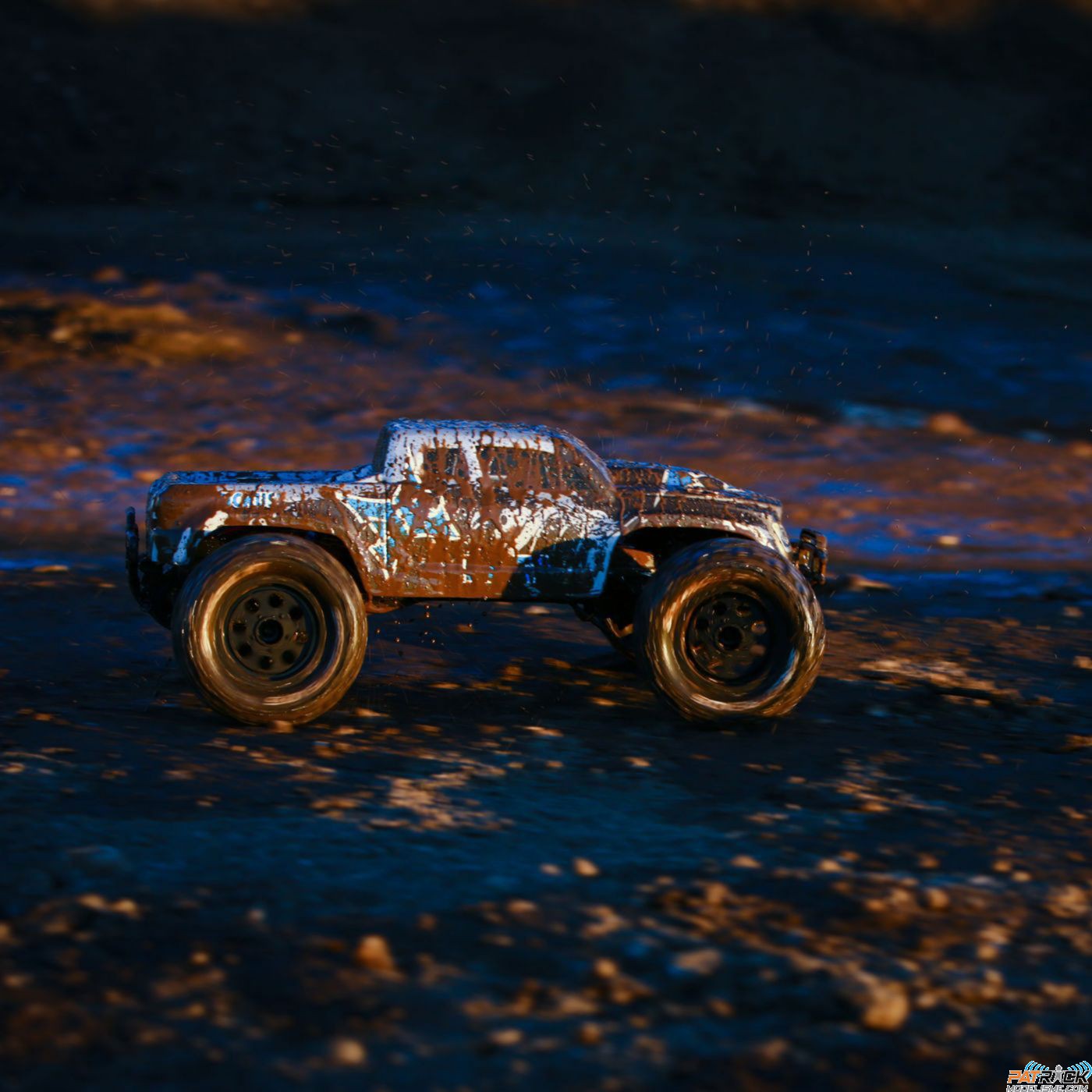 ECX Ruckus MT Brushed RTR 2WD Noir/Bleu 1/10